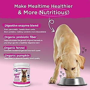 Vital Planet - Digest Dog Digestive Pancreatic Enzyme Blend with Pumpkin and Fennel to Support The Pancreas and Healthy Digestion with Pancreatin, Beef Flavored Powder for Dogs - 111 Grams 30 Scoops