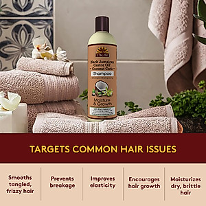 OKAY BLACK JAMAICAN CASTOR OIL and COCONUT SHAMPOO 12.oz / 355ml