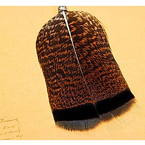 Feather Quill Pen with Ink Writing Dip Ink Pen Quill Pen with Ink Metal Nib Calligraphy Pen Gift Set for Kids