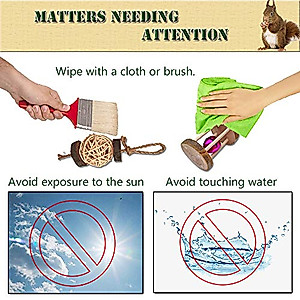 10 Pack Small Animal Combo Apple Wood Activity Toys, Hamsters Chew Toys, Rat Chinchilla Snacks Toys for Pets Organic Natural Accessories