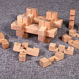 Onietoiy Difficult 20pcs DIY Wooden Brain Teaser Puzzle Toy 9 Types Assembly Building Blcok Games 94 Methods Challenge IQ Lock Toys 3D Brainteaser Educational Puzzles Unique Gift for Kids and Adults