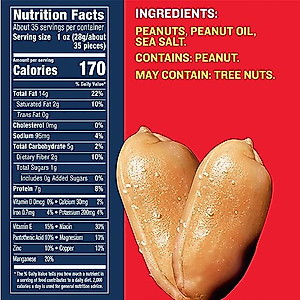 PLANTERS Salted Cocktail Peanuts, Party Snacks, Plant-Based Protein, 2 lb Jar