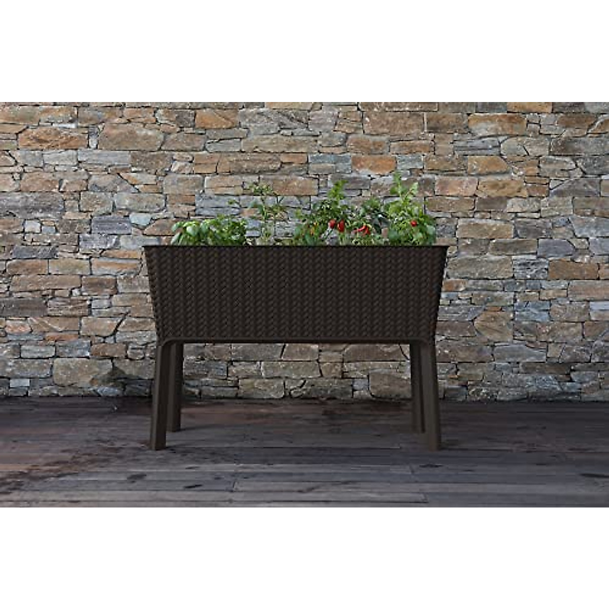 Keter Splendor 31.7 Gallon Raised Garden Bed with Self Watering Planter Box and Drainage Plug-Perfect for Growing Fresh Vegetables, Flowers and Herbs, Brown