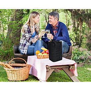 Vina 4 Bottle Wine Carrier - Travel Insulated Wine Carrying Case Cooler Tote Bag with Detachable Divider and Strong Handle, Great for Picnic, Beach Days,Party, Black