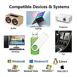 Wholesale/Lot/Bulk - ( 10 Pack ) USB 2.0 Flash Memory Stick Pen Drives U Disk Thumb Jump Pen Drive【 Random 5 Colors】【Ships from USA】 (2 GB)