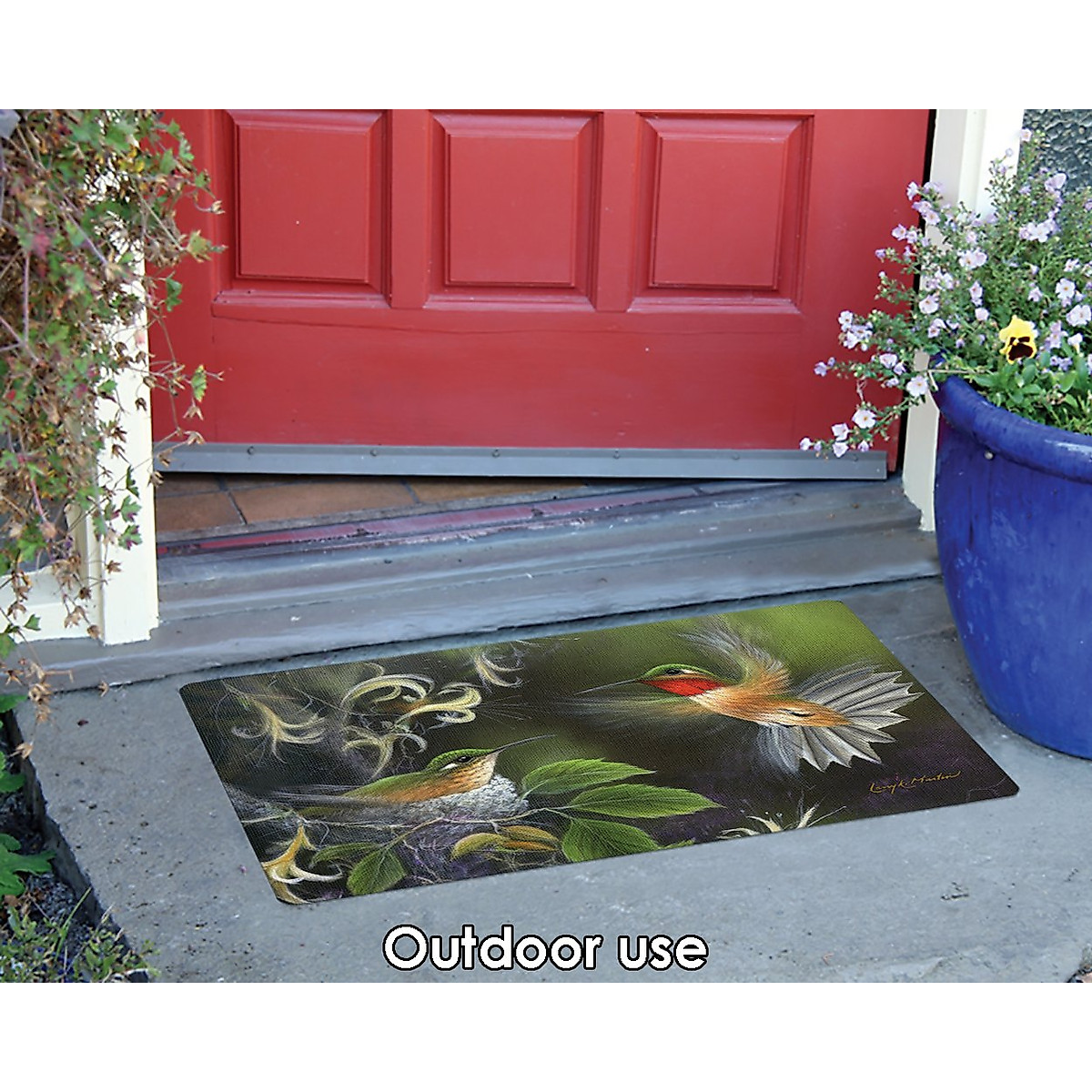Toland Home Garden 800036 Rufous Hummingbird Spring Door Mat 18x30 Inch Summer Outdoor Doormat for Entryway Indoor Entrance