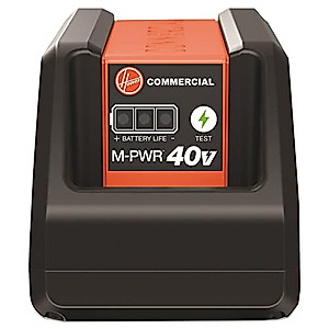 Vacuum Cleaner Battery, Plastic, 10" L