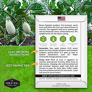 Survival Garden Seeds - Snowy Eggplant Seed for Planting - Packet with Instructions to Plant and Grow White Eggplant (Aubergine) in Your Home Vegetable Garden - Non-GMO Heirloom Variety