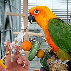 POPETPOP Birds Hand Feeding Syringe Bird Feeding Syringe, Birds Feeding Tubes for Small Birds Parrot Hand Feeding Syringe (2pcs Feed / 6 Pcs Curved Gavage Tubes) Parrot Feeding Syringe