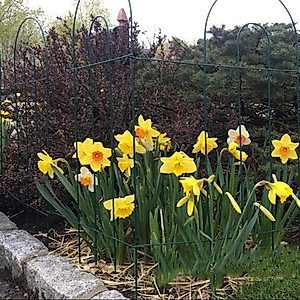 Green Garden Fence Lawn Yard Folding Fence 32 Inch (H) x 10 Feet (L), Pack of 5 Sets,Overall Length 50 Feet(L),Landscape Panel,Patio Fences Flower Bed Section Panel Decorative Fence