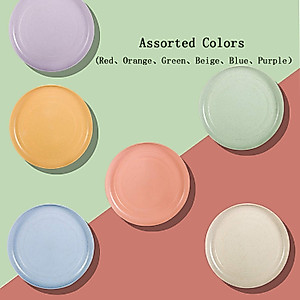 OAMCEG 6 Pack Reusable Plastic Plates 9 Inch Unbreakable Eco-Friendly Lightweight Wheat Straw Plates, Salad Plates, Camping Plates, Dishwasher & Microwave Safe, Green and Healthy Dishes