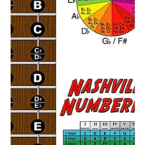 Laminated 4 String Bass Fretboard Notes Chart Nashville Number System & Circle of 5ths Easy Instructional Poster for Beginner for Notebook - A New Song Music 8.5 x 11