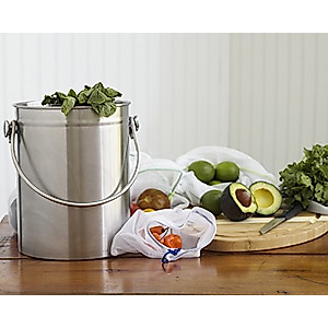 Natural Home WP77 SS Compost Bin /1.3 gallon