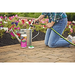 Scotts Super Bloom Water Soluble Plant Food, 2 lb - NPK 12-55-6 - Fertilizer for Outdoor Flowers, Fruiting Plants, Containers and Bed Areas - Feeds Plants Instantly