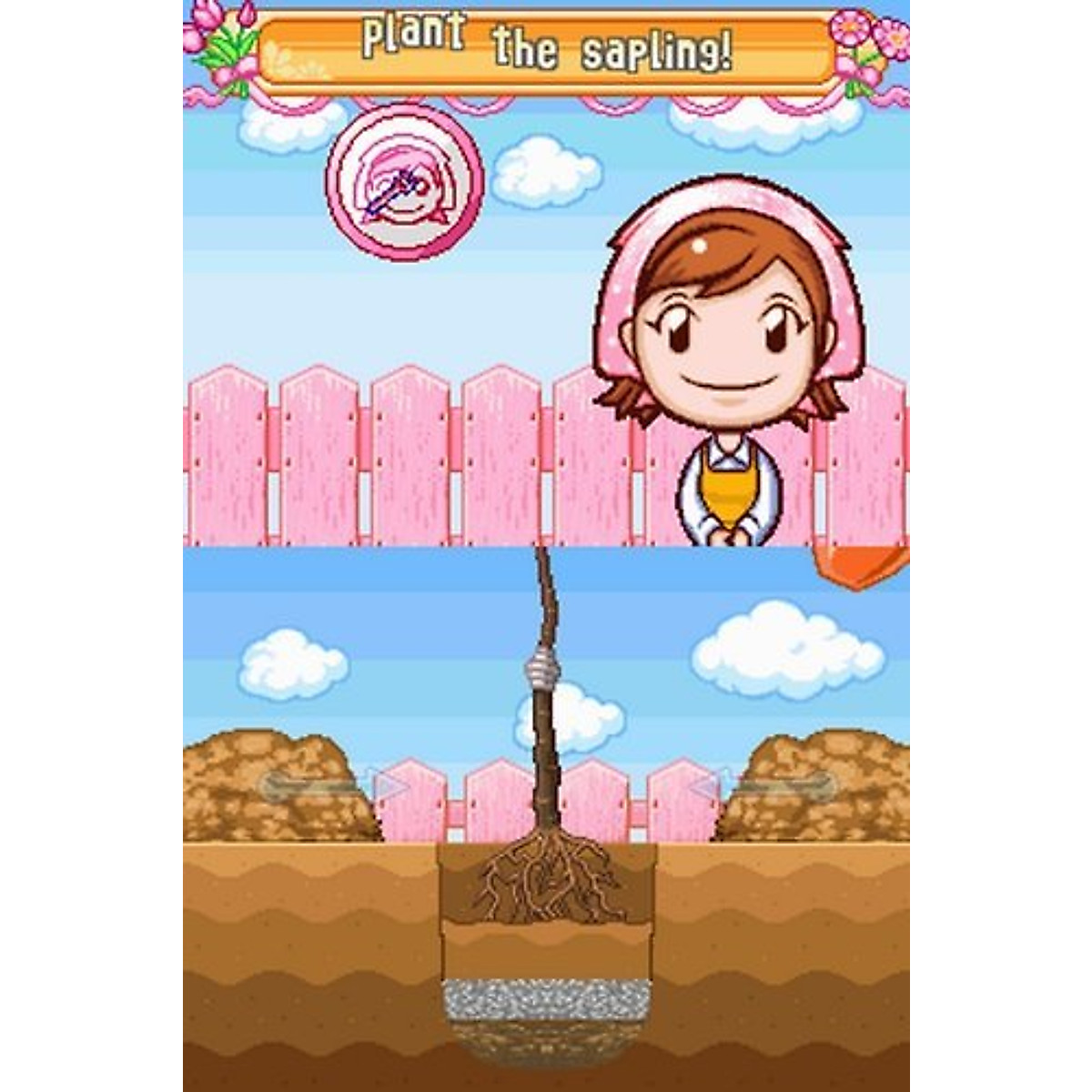 Gardening Mama - Nintendo DS (Renewed)