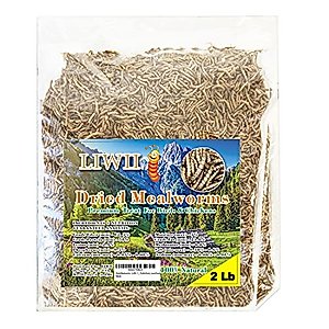 LIWII Dried Mealworms 2 LBS-100% Natural Non GMO High Protein Mealworms for Chicken-Bulk Mealworms for Wild Birds, Chicken Treats, Hamster Food, Gecko Food, Turtle Food, Lizard Food