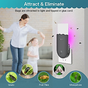 Fly Traps Indoor, Fruit Gnat Fly Traps for House, Two Light Modes, No Odor, Gnat Catcher Control for Indoor Plants, 1 Plug in Device + 5 Fly Traps Refills