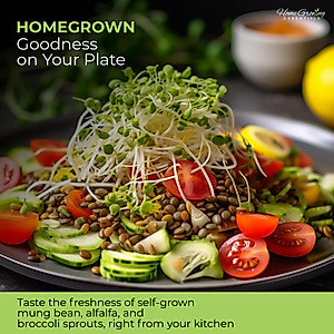 HomeGrowing Essentials Sprouting Tray with 40g Mung Bean Seeds, Sprouting Kit, BPA-Free Sprouting Trays for Sprouts and Microgreens, Wheatgrass or Cat Grass, Broccoli and Bean Sprouts Growing Kit