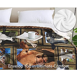 Farm Cow ​Blanket - Fleece Throw Blanket for Couch Super Soft Cozy Bed Blanket Lightweight Plush Fuzzy Lap Blankets and Throws for Sofa, 50 x 60 Inch, Gift for Animal Lover