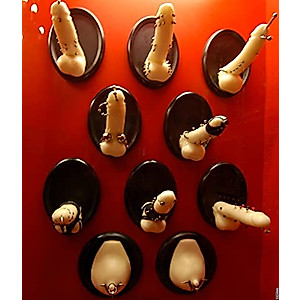 PAIR 00G SPRING LOADED CAPTIVE BEAD RING STEEL BIG GAUGES PRINCE ALBERT JEWELRY Style 88888-1822