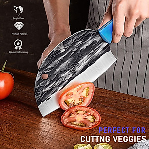 ZENG JIA DAO Forged Serbian Chefs Knife, 7'' Cleaver Knife HC Steel Butcher Knife Ergonomic Pakka Wood Blue Resin Handle for Kitchen/Restaurant/Slaughter House 2024 Gift