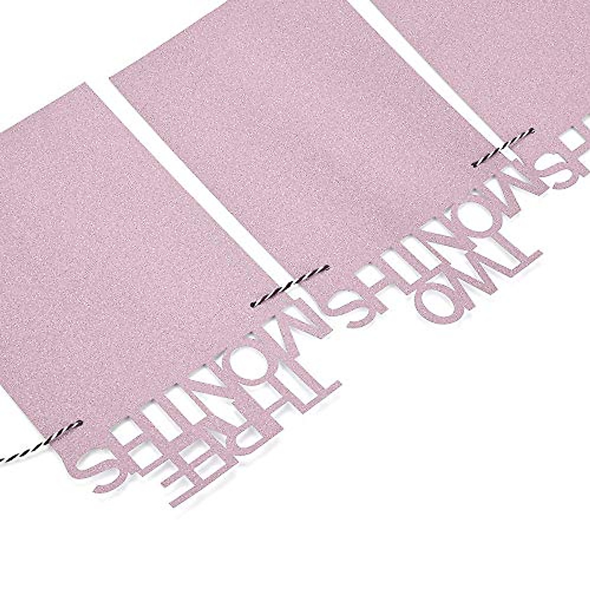 Toxz Kids Birthday Gift Photo Wall Decorations with 1-12 Month Milestone Photo Banner Monthly,Hangging Decor,for Kids Birthday Gift(Ship from US!)