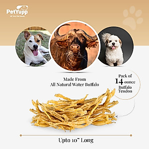 PetYupp Water Buffalo Tendon Dog Chews - 14 oz - 100% Natural Dog Treats - for Small, Medium & Large Dog, High-Protein, Low-Fat & Easy Digest Dog Treats, Promotes Dental Health - No Additives