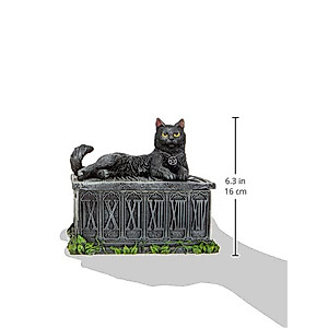 Nemesis Now B2808G6 Fortune's Watcher Tarot Box 17cm Black, Resin