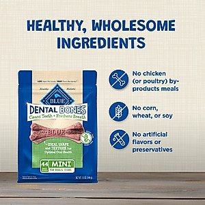 Blue Buffalo Dental Bones Mini Natural Dental Chew Dog Treats, (5-15 lbs) 12-oz Bag