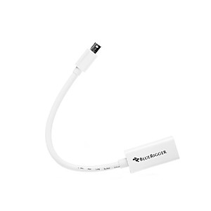 BlueRigger Mini DisplayPort to HDMI Female Adaptor Cable ((Mini DP/Thunderbolt to HDMI Cable) - Compatibe with MacBook Pro/Air - with HD Audio