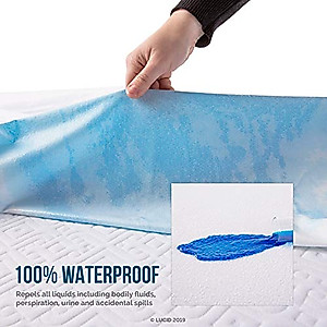 Lucid 4 Inch Bamboo Charcoal Memory Foam Mattress Topper - Full & Premium Hypoallergenic 100% Waterproof Mattress Protector - Universal Fit, Cotton Terry Top, Full