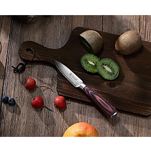 PAUDIN Boning Knife + Paring Knife