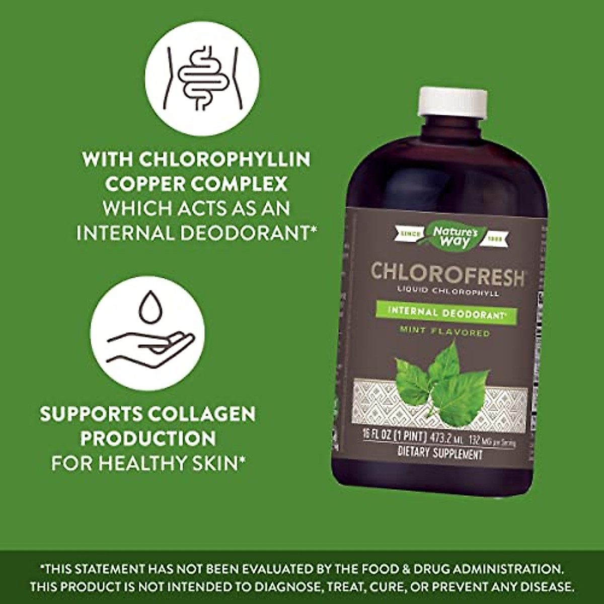 Nature’s Way Chlorofresh, Supports Detoxification Pathways*, Liquid Chlorophyllin Copper Complex, Supports Healthy Skin*, Internal Deodorant*, Mint Flavored, 16 Fl Oz.