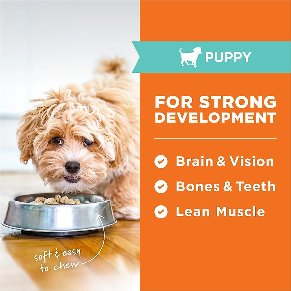 Instinct Freeze Dried Raw Meals Grain Free Dog Food, Dog Food Dry, Freeze Dried Dog Food, Raw Dog Food, Puppy Chicken Recipe, 9.5 oz