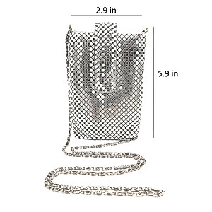 Women's Metal Mesh Small Cell Phone Pouch Bag Case Cross-Body Shoulder Strap (Silver)