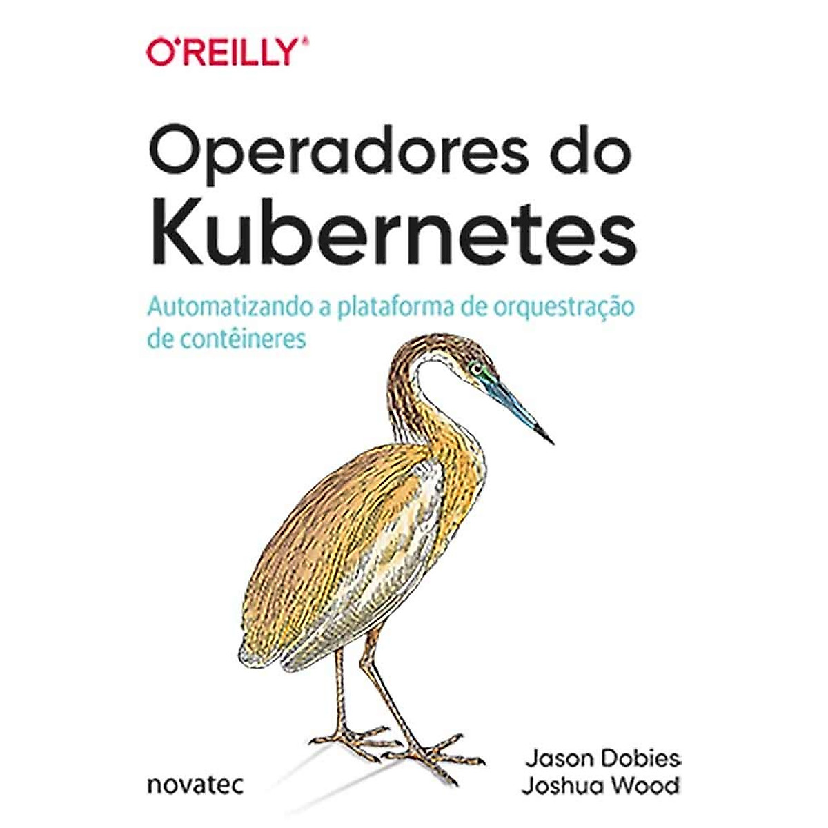 Operadores do Kubernetes: Automatizando a Plataforma de Orquestração de Contêineres