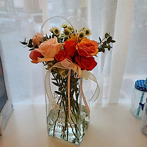 Frcctre 12 Pack Ice Wine Bag, Portable Collapsible PVC Wine Pouch Cooler Bags with Handle, Clear Wine Bottles Bag for Champagne Cold Beer White Wine Chilled Beverages