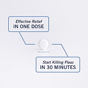 PetArmor CAPACTION (nitenpyram) Oral Flea Treatment for Dogs, Fast Acting Tablets Start Killing Fleas in 30 Minutes, Dogs Over 25 lbs, 6 Doses (Pack of 1) (Packaging May Vary)