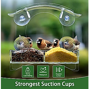 Window Bird Feeders for Outside with Strong Suction Cups Home Bird Feeder, Transparent Bird House Cat Kids and Elderly Viewing Bird Feeder for Window Perch (Polyurethane)