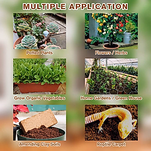 Legigo Pack of 10 Organic Coco Coir Bricks- 100% Natural Compressed Coco Peat Brick Coconut Fiber Substrate with Low EC&pH Balance, Coir Plant Soil Enhance Root Growth for Herbs, Flowers, House Plants