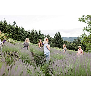 Victoria's Lavender Natural Body Products Gift Set - Handmade Soap, Hand & Body Lotion, Lip Balm, Body Candle Skin Care Sets & Kits, Lavender Bath and Body Products for Women, Lavender