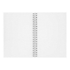 HULYTRAAT Hardcover Dot Grid Notebook, 5.8 x 8.38 Inches A5, Transparent, 160-Page 80-Sheet Spiral Journal (AWPPD1)