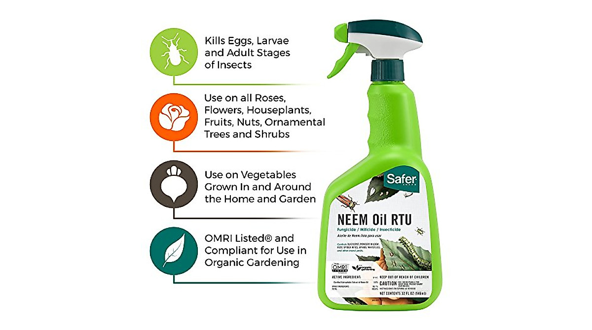 Safer Brand Neem Oil Spray - Organic Pest & Fungicide Control