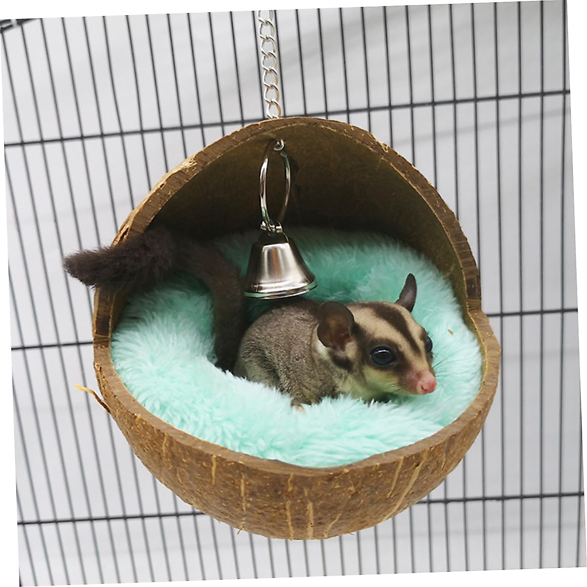 FUOYLOO Parrot Toys Parrot Hut House Shell Bird House Hamster Winter Warm Cage Bird Playground Winter Pet Chinchilla Bed Wood Toys Hanging Parrot House Coconut Shell Natural Bird Supplies
