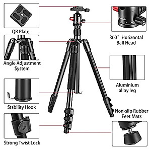 ZIKZOK Professional 62" DSLR Tripod Camera Tripods with Phone Holder for Travel, Super Lightweight and Reliable Stability, Ball Head Tripod Detachable Monopod with Carry Bag (Black)