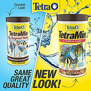 Tetra 16155 Min Large Tropical Flakes For Top/Mid Feeders, 5.65-Ounce