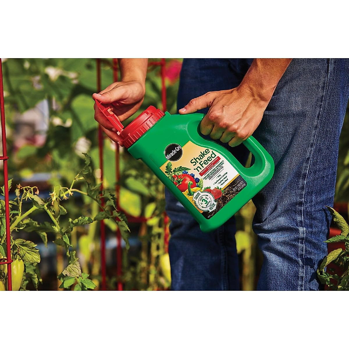 Miracle Gro 3002610 4.5 Lb Shake 'n Feed Tomato, Fruits & Vegetables 9-4-12