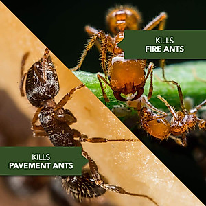 BioAdvanced Fire Ant Killer, Dust, 1 lb