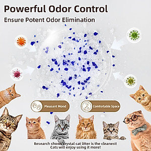 LaSyL Premium Crystal Cat Litter - 17.2 lb, Four Months Lasting - Superior Odor Control & Absorption, Non-Clumping, Low Tracking Silica Gel Safe for Pet, White & Blue (4 Bags of 4.3 lb)
