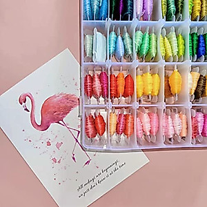 Friendship Bracelet String Kit - 276pcs Embroidery Floss and Accessories - Labeled with Thread Numbers for Cross Stitch Supplies, Embroidery, Cool String Art- Style for Teen or Girls